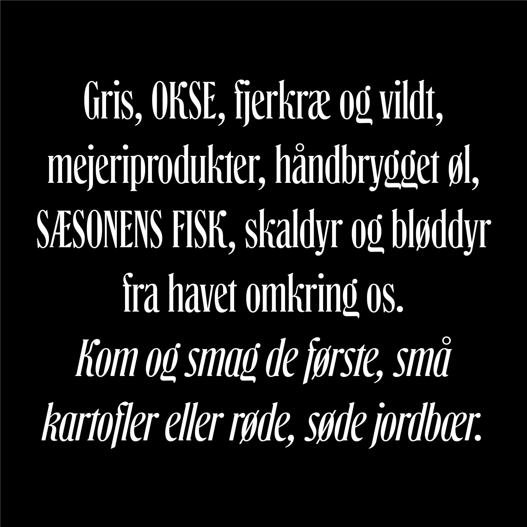 PLAYTYPE - Type Foundry - Retail and Custom-made fonts